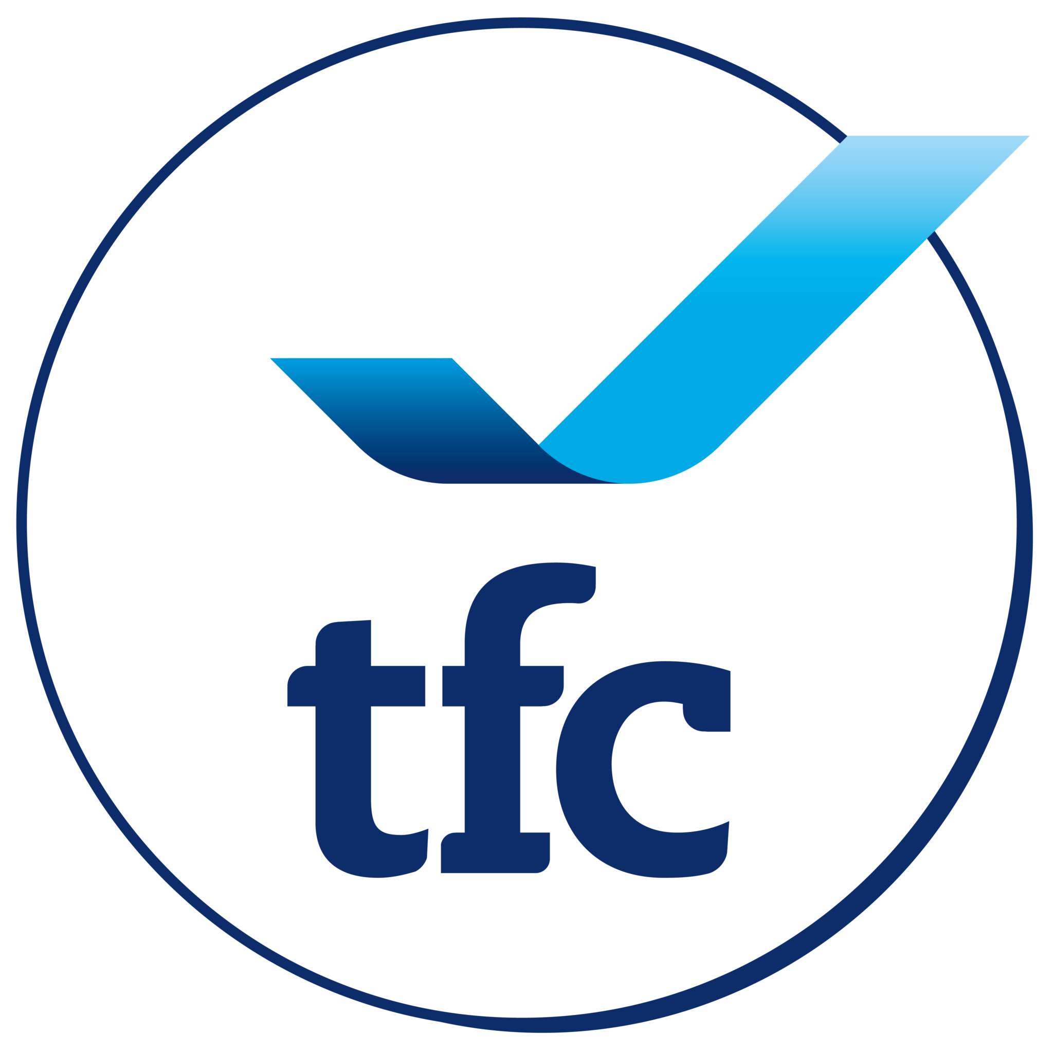 What’s capital gains tax and when do you pay it? - TFC Financial